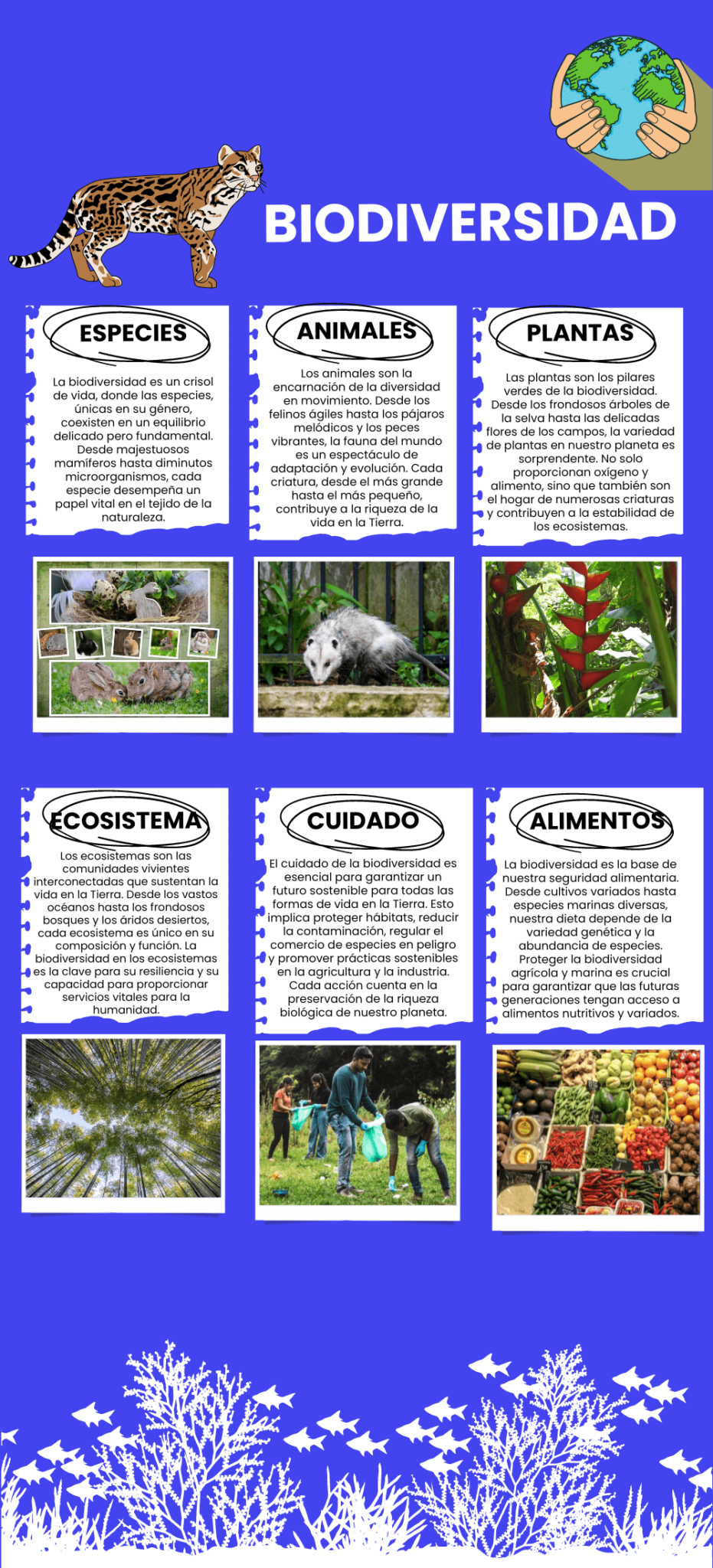 Infografías de la Biodiversidad 【Descargar】