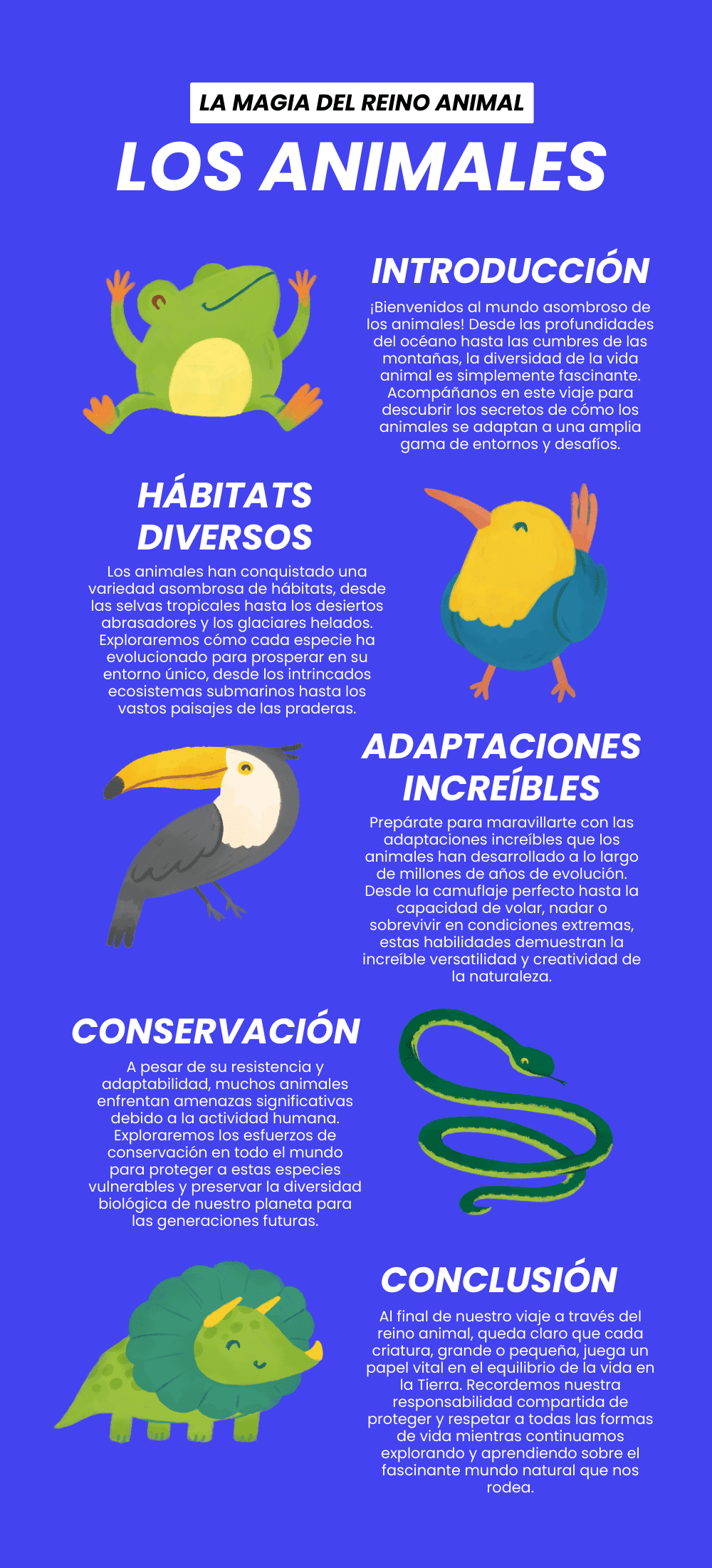 Infografías De Los Animales Descargar