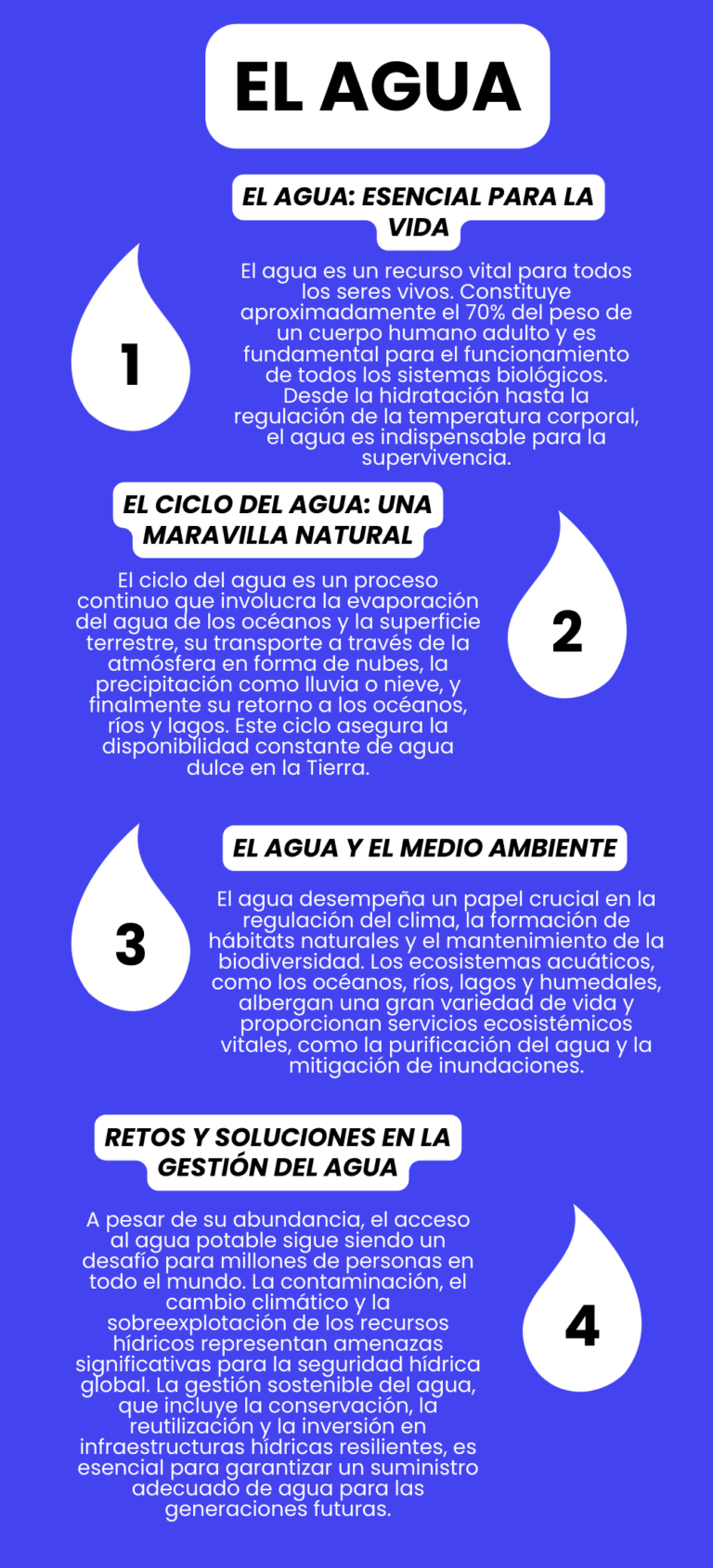 Infografías del Agua | ⬇️ Descarga GRATIS
